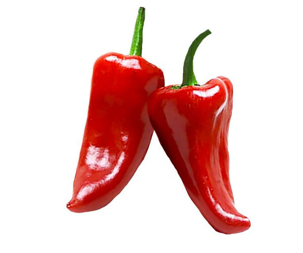 Piquillo Sweet Pepper - Spanish Piquillo Seeds | Grow, GMO-Free ...