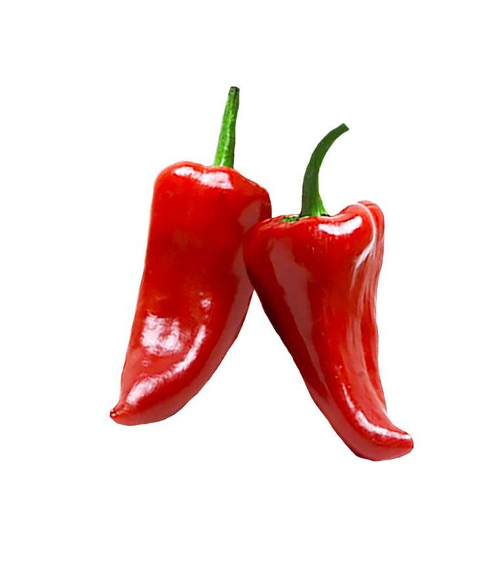 Piquillo Sweet Pepper - Spanish Piquillo Seeds | Grow, GMO-Free ...