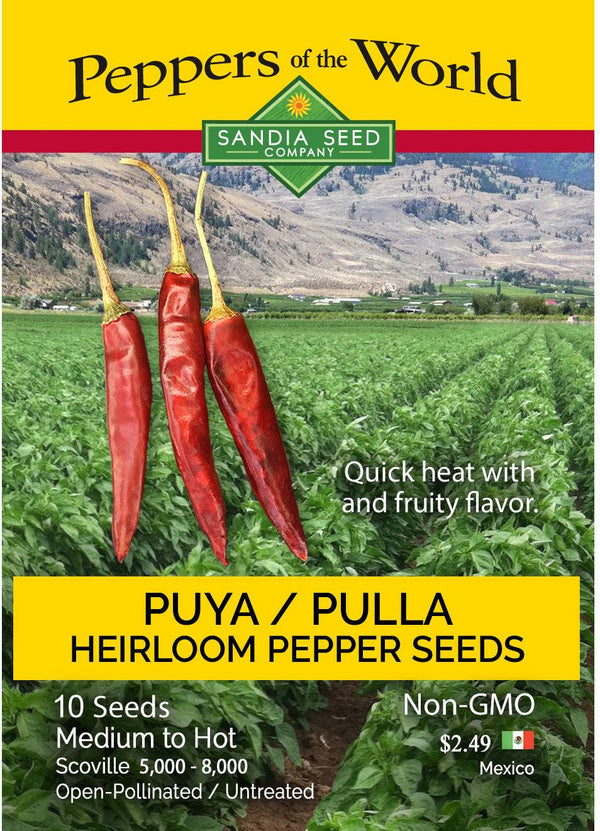 Puya / Pulla Chile Seeds – Sandia Seed Company