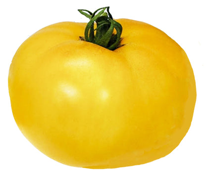 Sunny Boy F1 Tomato Seeds – Sandia Seed Company