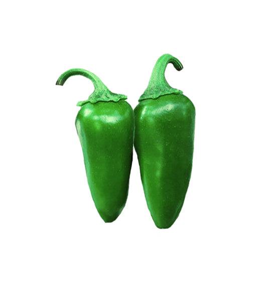 Jalapeño TAM Seeds - Mild Flavor Jalapeños | Disease Resistant – Sandia ...