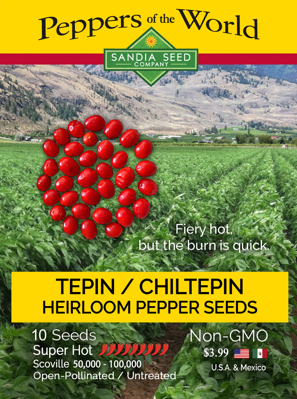 Tepin/Chiltepin Chile Seeds – Sandia Seed Company