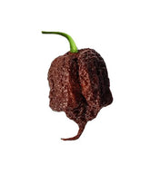 Hot Pepper Seeds, Yellow Brain Strain, Carolina Reaper, Bhut Jolokia ...