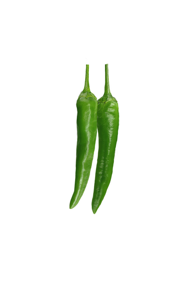 Dynamite XXHot Green Chile Seeds – Sandia Seed Company