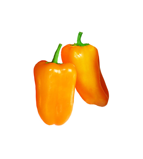 Mini Orange Pepper Seeds - Sweet Snacking Size - Heirloom – Sandia Seed ...