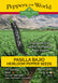 Pasilla Bajio / Chilaca Chile Seeds – Sandia Seed Company