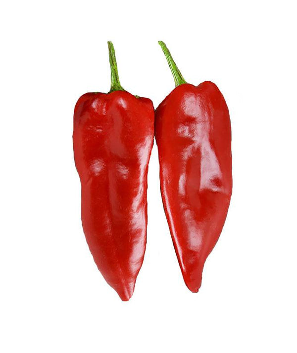 Stocky Red Rooster Pepper Seeds – Sandia Seed Company